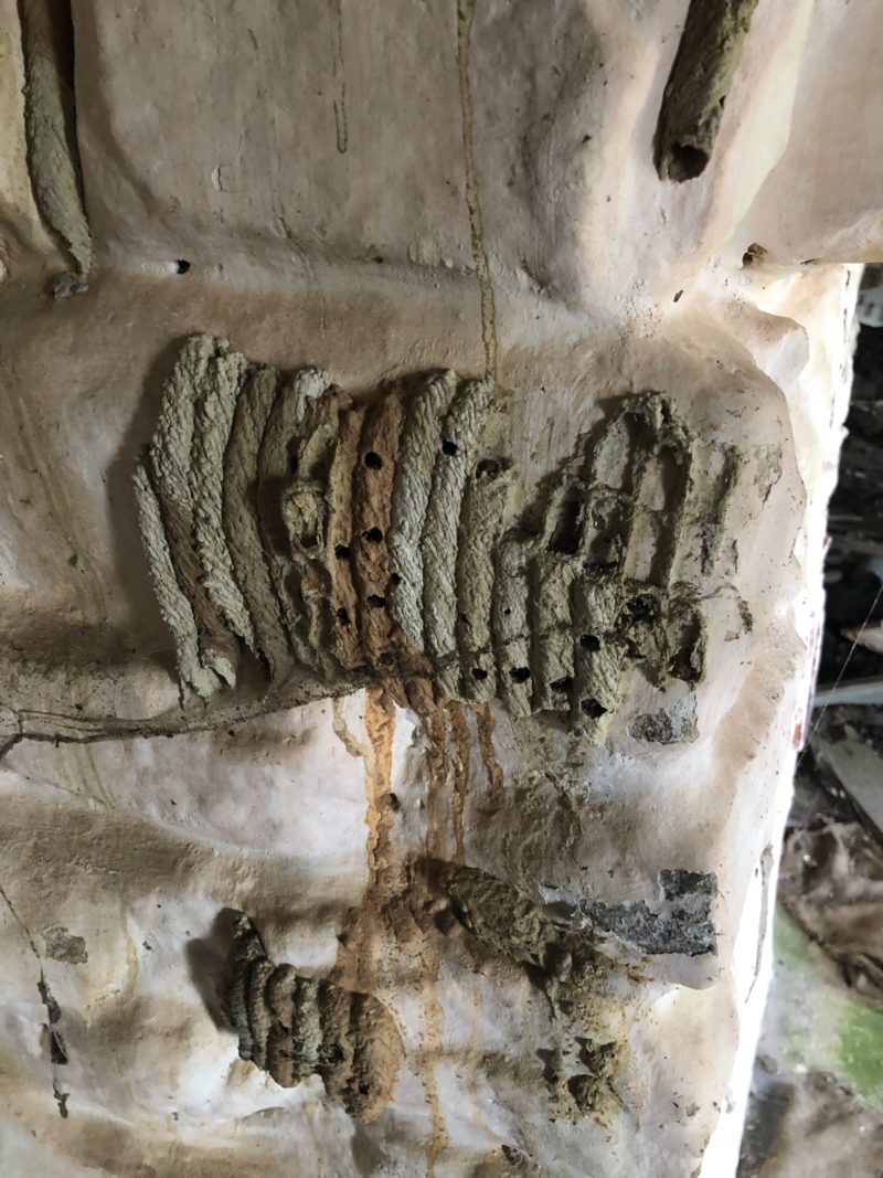 Watson Farm Log Cabin, Warren County, NC. – The Old House Life