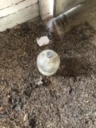 Watson Farm Log Cabin, Warren County, NC. – The Old House Life