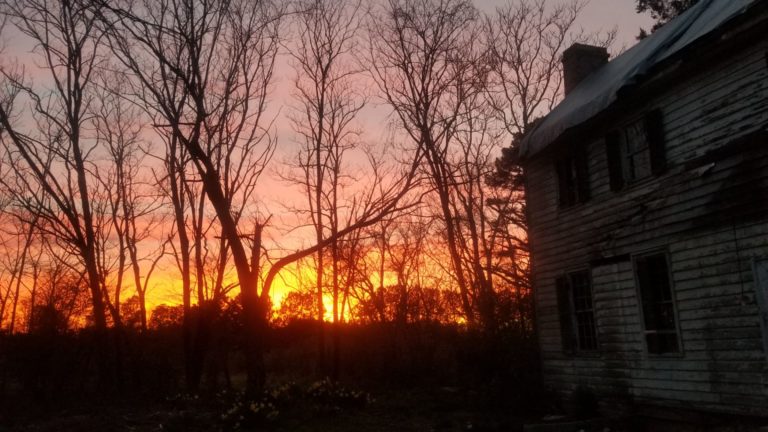 Spring has sprung at the Allen House! Volunteers needed on Saturday ...