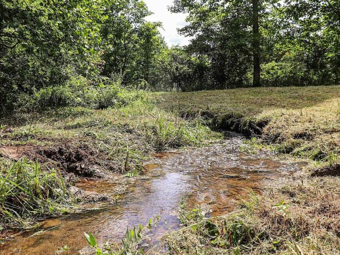 Auction block time! 40 acres in the Virginia mountains. Circa 1876 ...