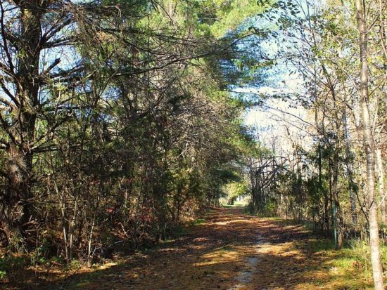 Off market. “White Oak Grove”, Circa 1846. On 9 acres in Virginia ...