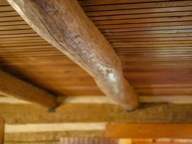 Look inside! Log house with mountain views. Five acres in Virginia ...