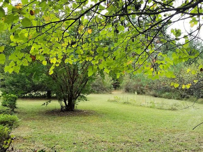 Sold. On 32 acres in Virginia. 7 miles to Kerr Lake boat ramp. $149,900 ...