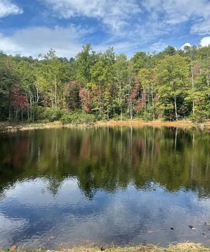 Off market. 53 acres in the Virginia mountains. Stream fed pond. Circa ...