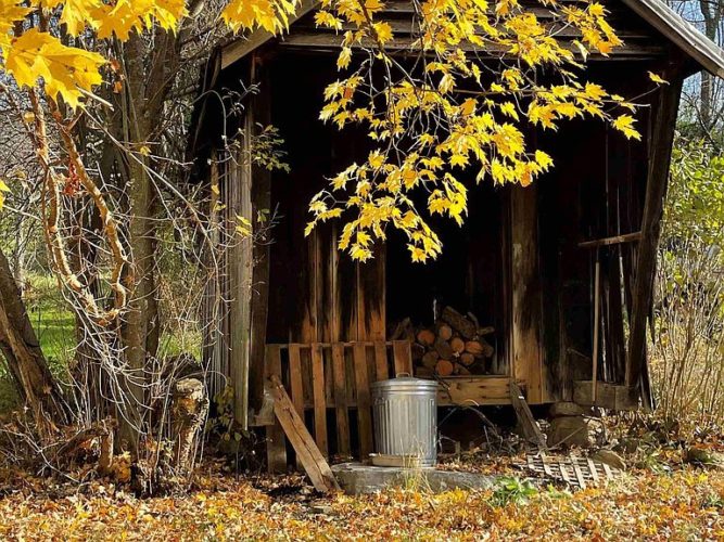 Would love to explore the outbuildings! Circa 1900. Four acres in ...