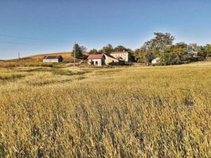Almost 12 acres in Kansas. Stone house, Circa 1872. $397,000 – The Old ...