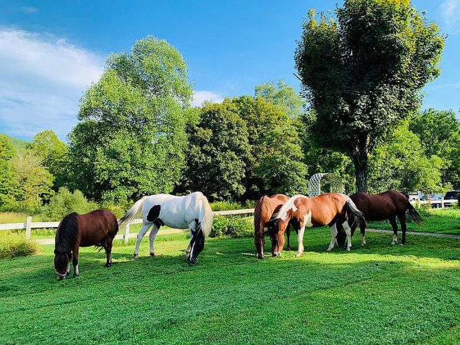 Off market. Setting is perfect and the house is beautiful! 13 acres in ...