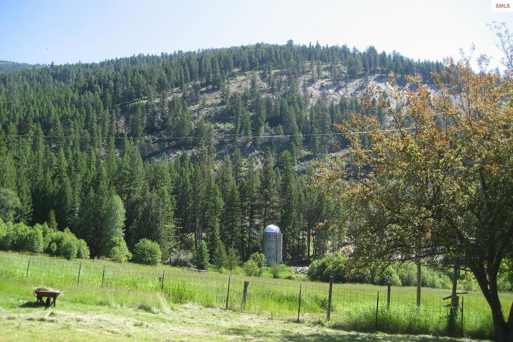 Majestic Meadows Homestead, Circa 1920. On 25 acres in Montana ...