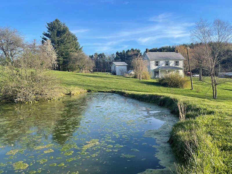 Nice pond! Circa 1920. Over two acres in Virginia. $119,500 – The Old ...