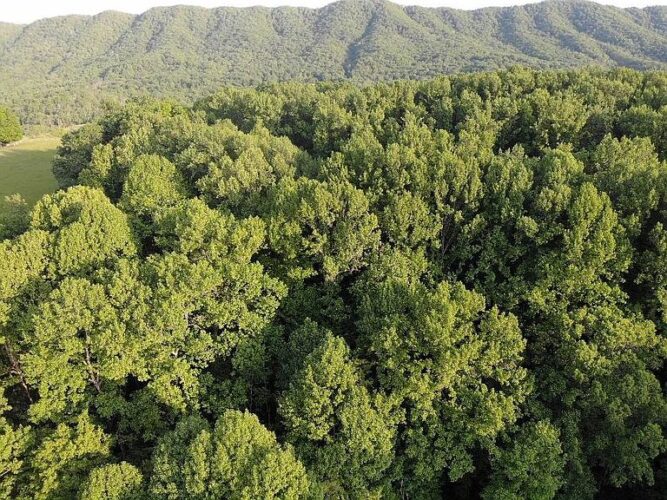 Deal of the Day! On 19 acres in the Virginia mountains. $225,000 – The ...