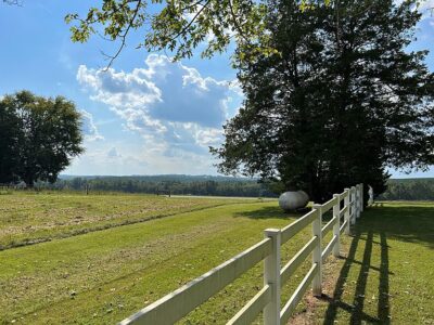 Sold for $278,200. Deal of the Day! 7 acres in Virginia. Lester House ...