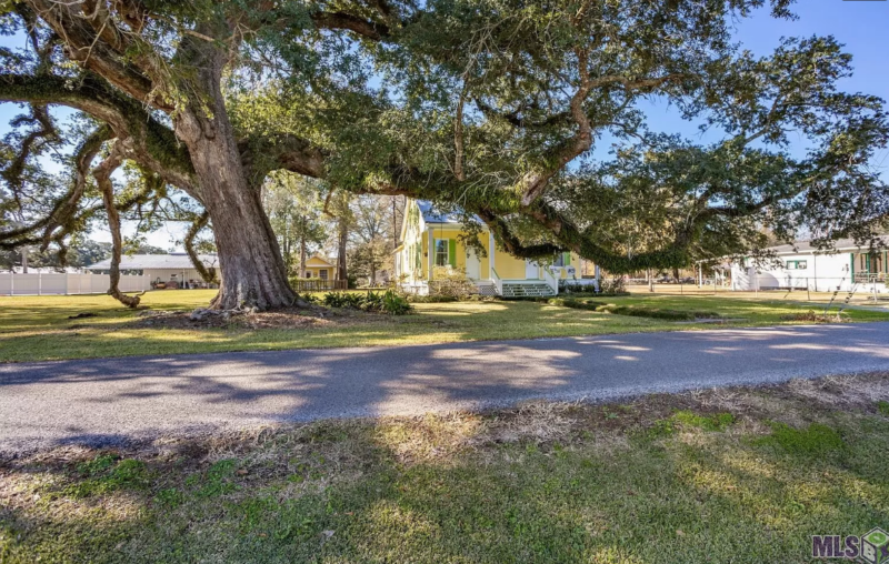 That tree! Those outbuildings! The Holt House, Circa 1859 in Louisiana ...