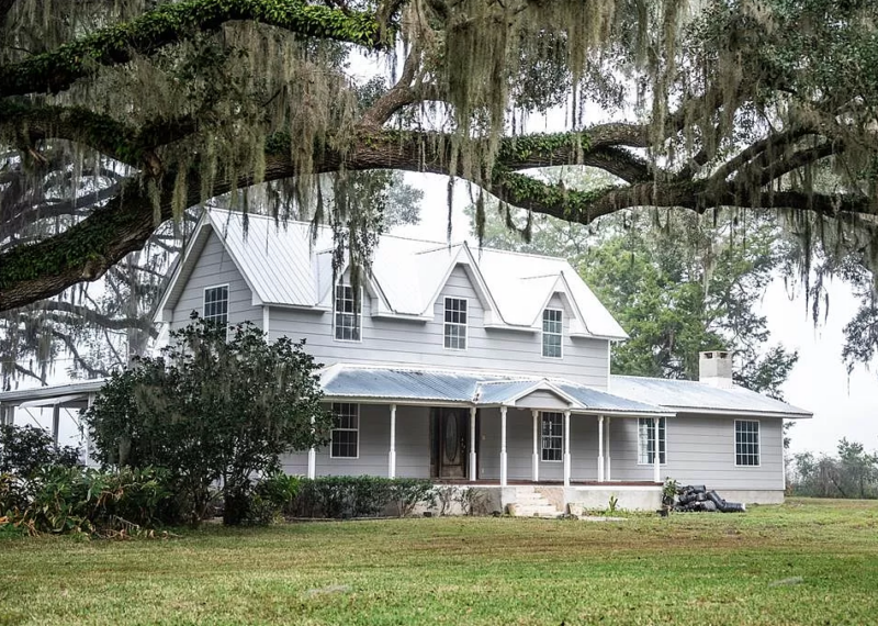 Love that setting! An old vineyard. 20 acres in Florida. Circa 1901 ...