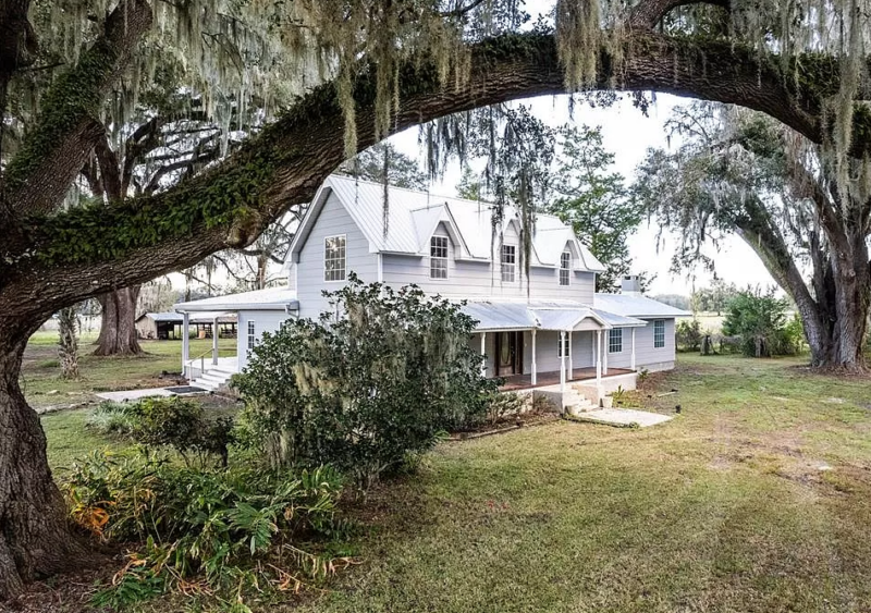 Love that setting! An old vineyard. 20 acres in Florida. Circa 1901 ...
