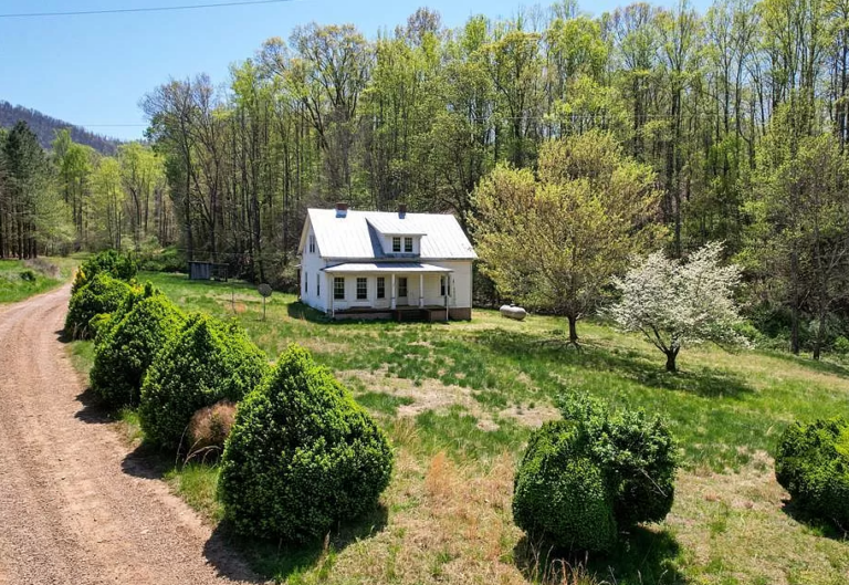 Diamond in the Rough! Beautiful area in the Virginia mountains! Over 3 ...