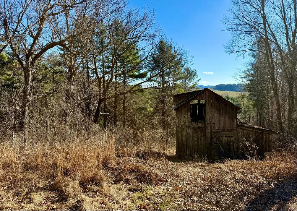 Five acres in Virginia. Big laundry room! C. 1940. $249,000 – The Old ...
